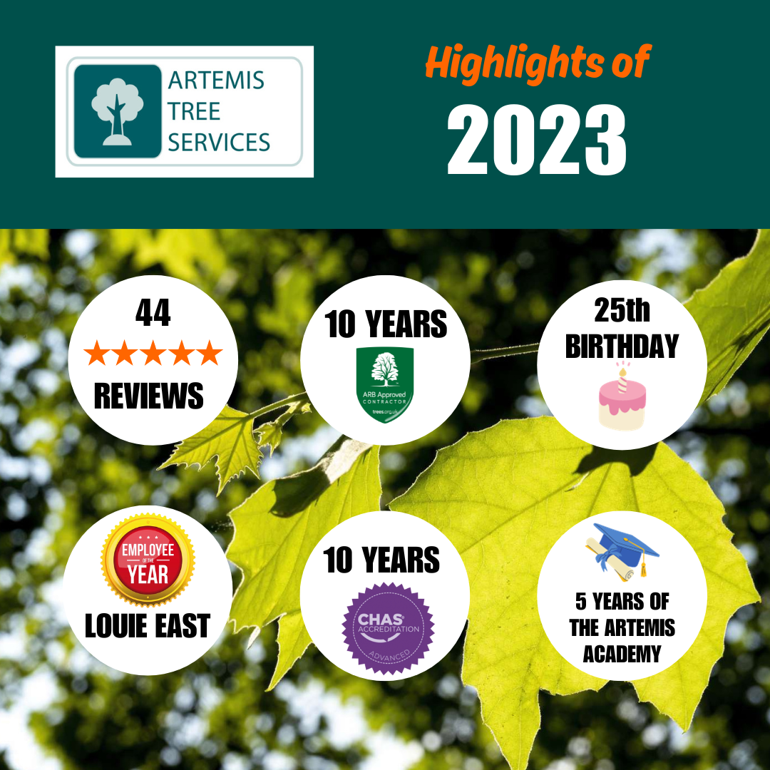 REFLECTIONS ON 2023: A YEAR IN REVIEW | Artemis Tree Services