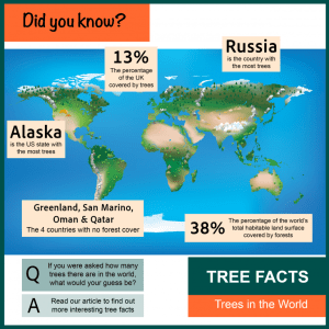 TREE FACTS – Trees in the World | Artemis Tree Services