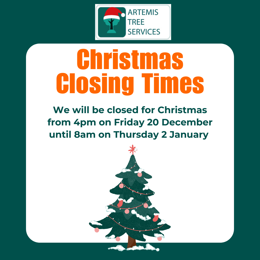 Christmas Closing Times | Artemis Tree Services